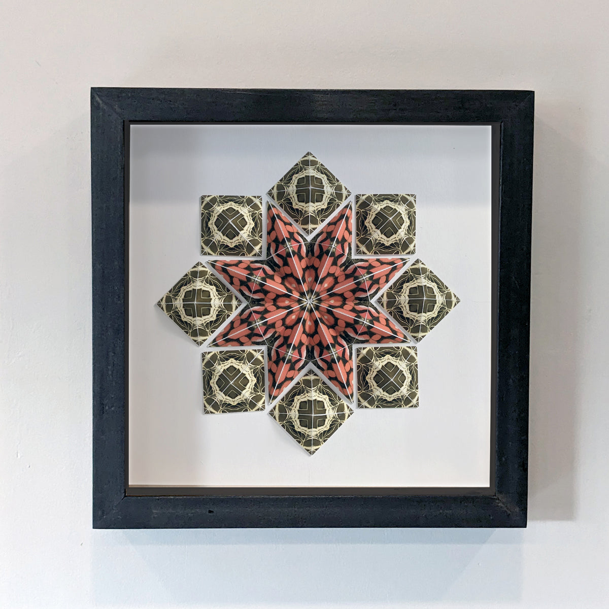 Vanessa cardui – Lauri R. Dunn Peterson Fine Art